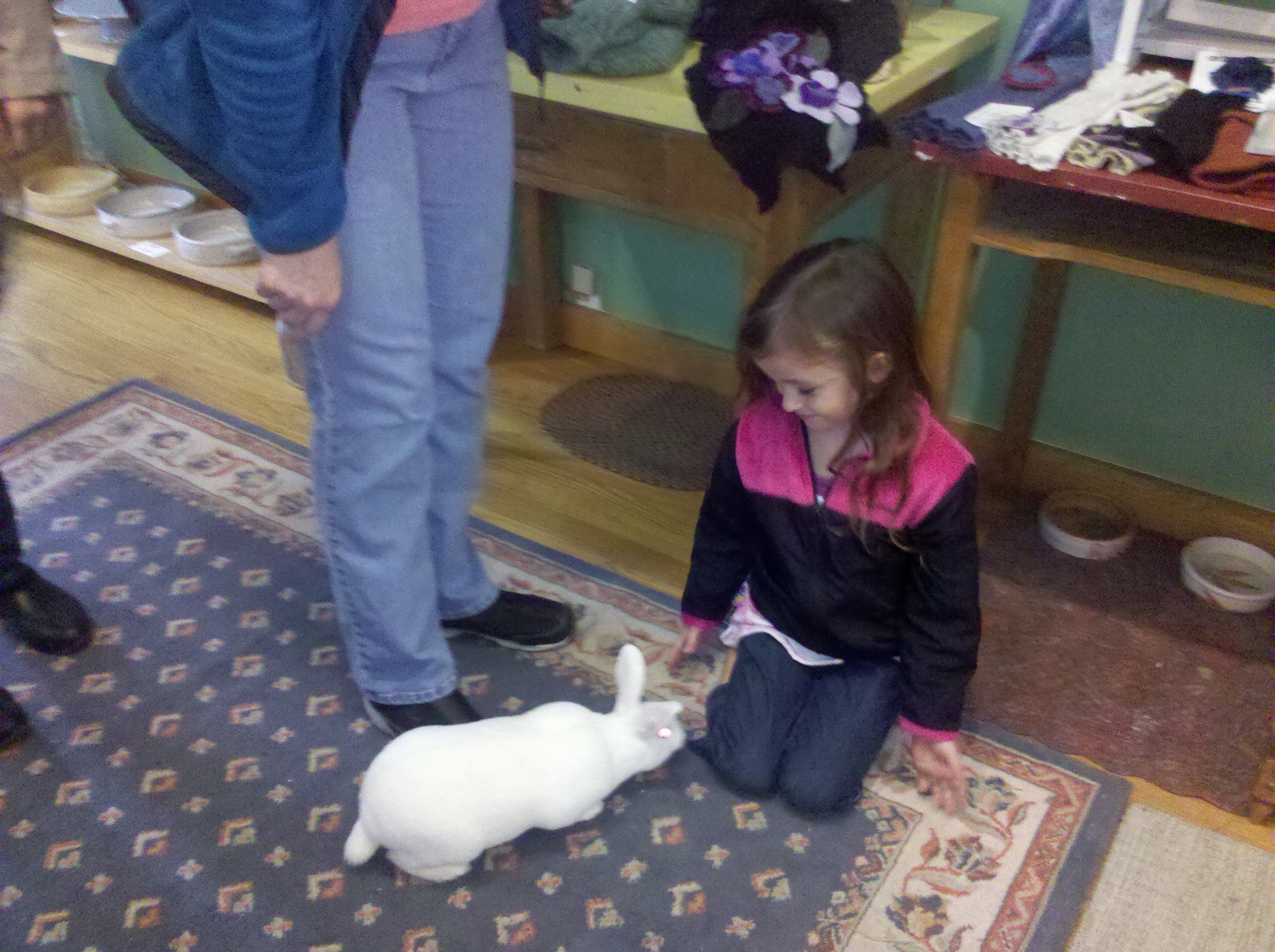 Smicksburg Pottery PA Amish Country Cookie Tour – MarLa Sink Druzgal