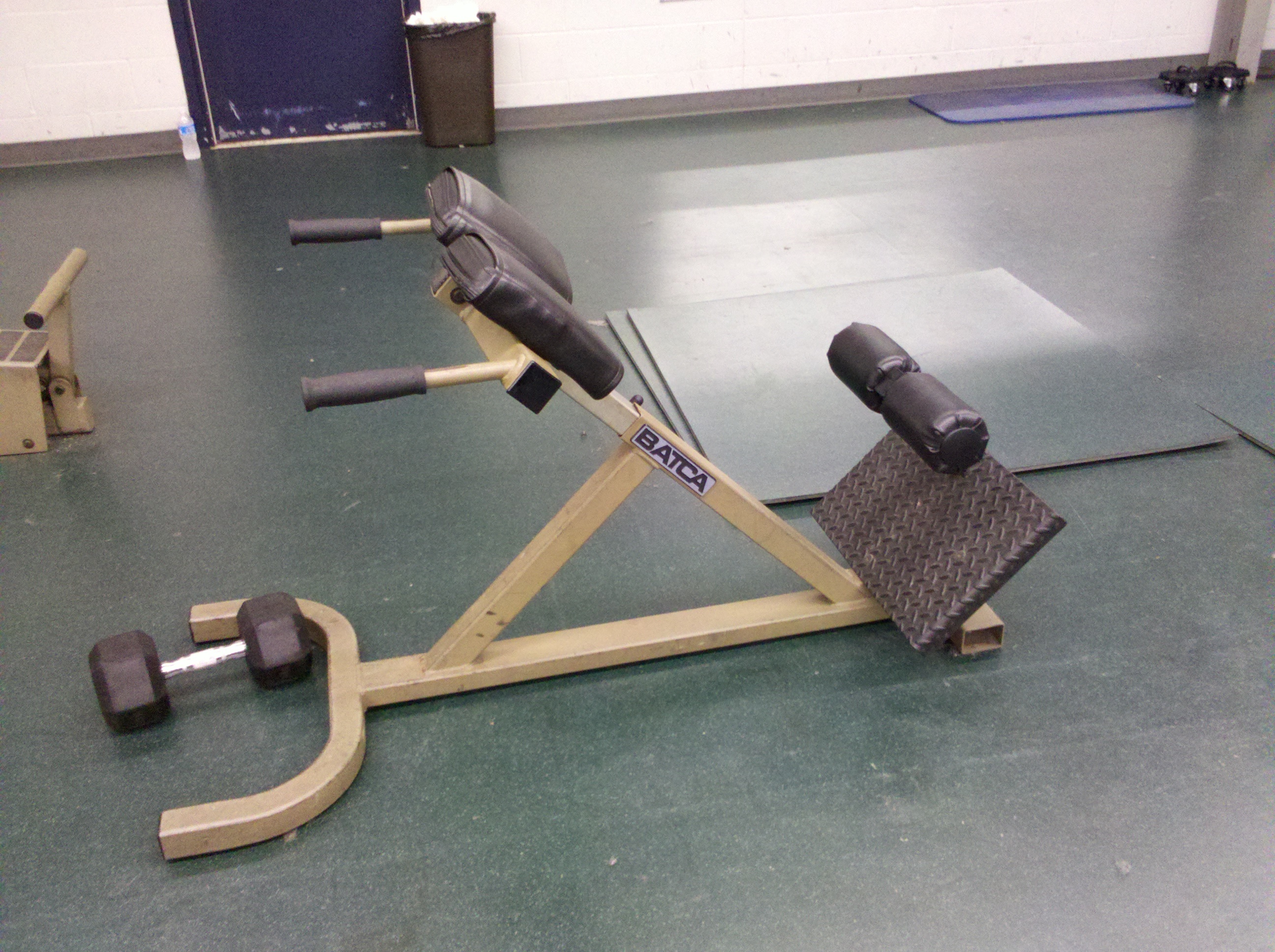 back exercise machine gym weight training – MarLa Sink Druzgal