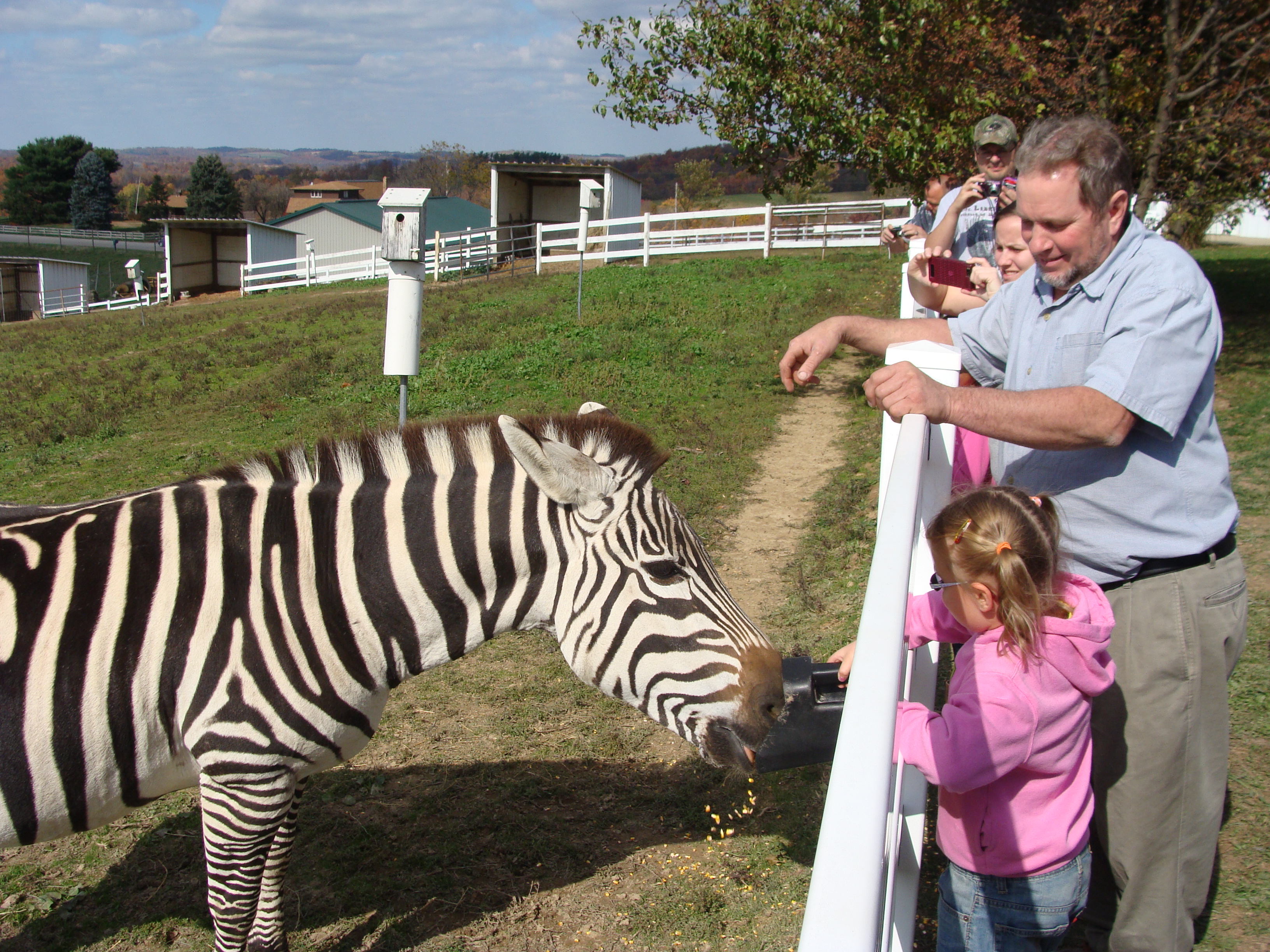 Blue Ridge Dairy and Whitetail Farm Zebra – MarLa Sink Druzgal