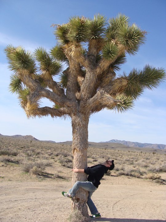 Brandon Joshua Tree hugging Death Valley – MarLa Sink Druzgal