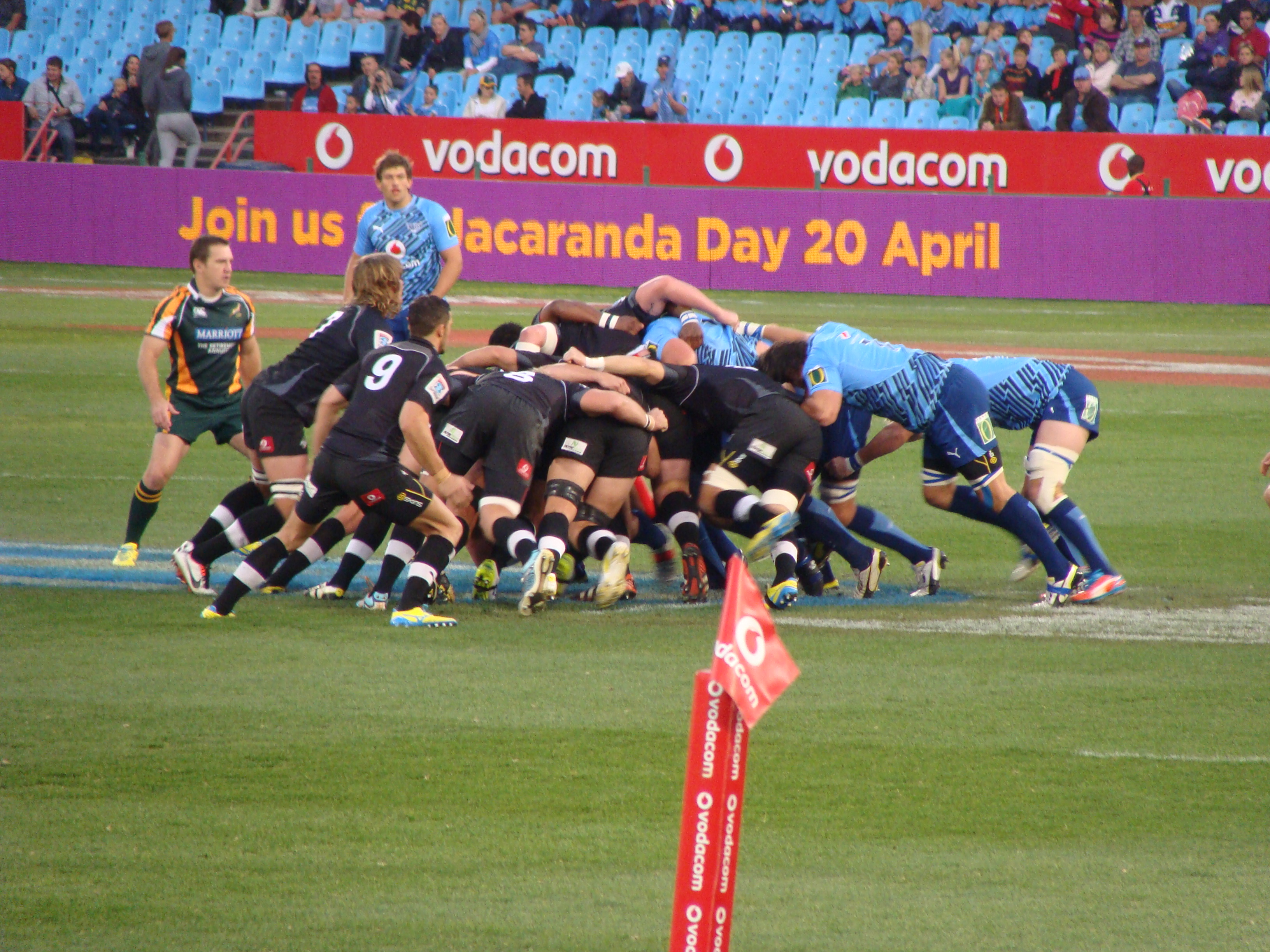 Blue Bulls Super Rugby Pretoria South Africa – MarLa Sink Druzgal